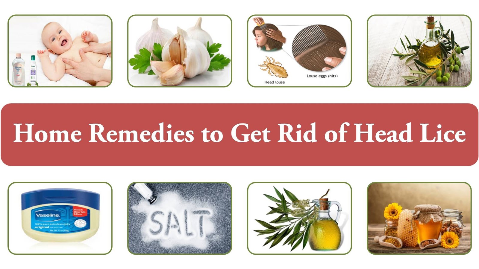 Home remedies for getting rid of head lice | TheGoodPoint - The Good Point