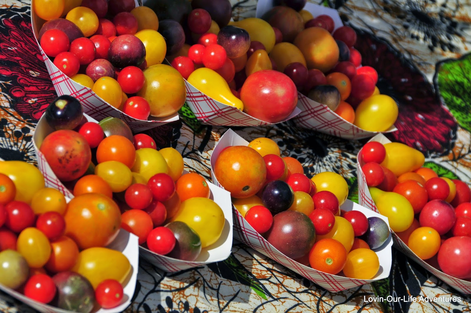 Lovin-Our-Life Adventures: Durango Farmers Market