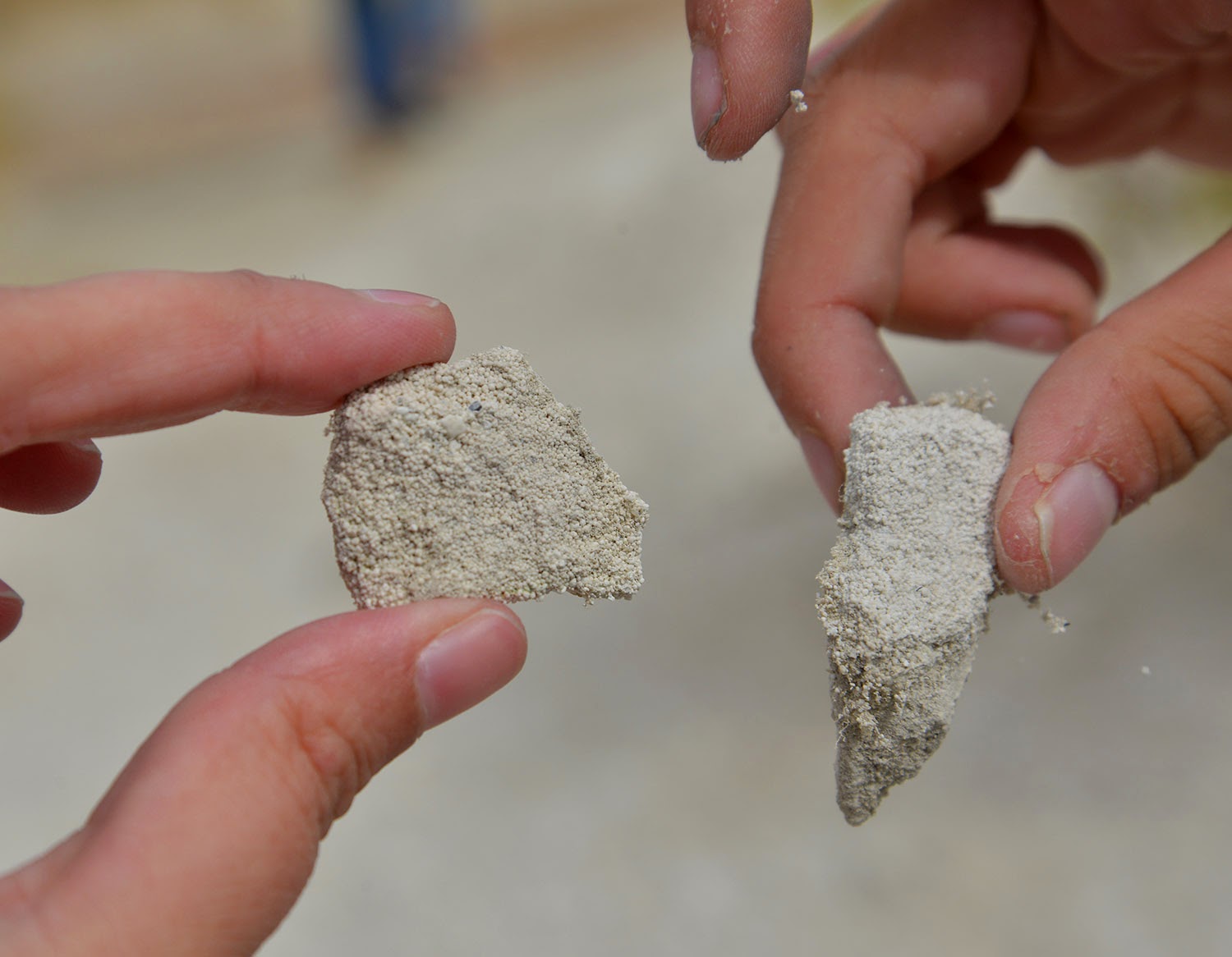 jokerwisconsin - Blog