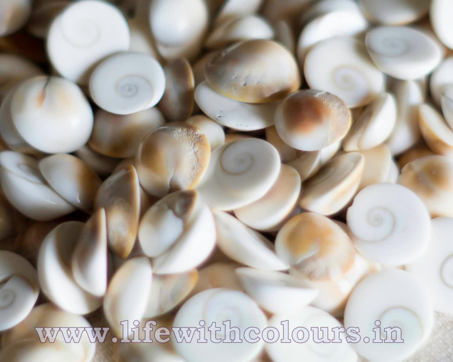 Crystals and Gemstones: Benefits of Gomti Chakra, Nag Chakra,Sudarshan ...