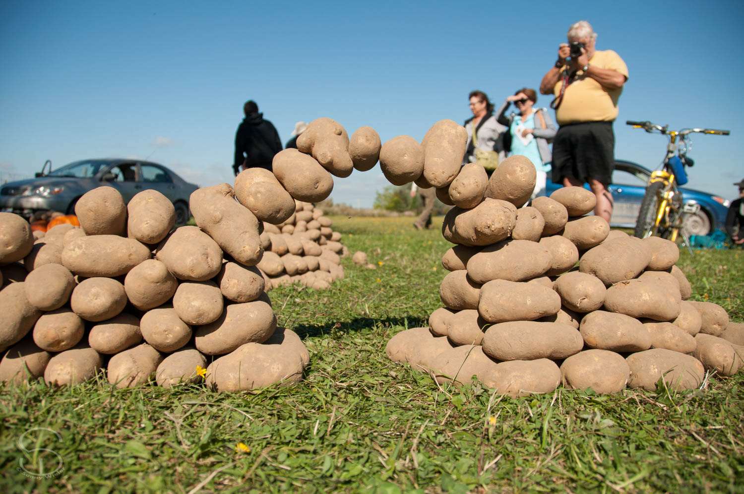 Thinking With My Hands: All Eyes On The Potato Arch