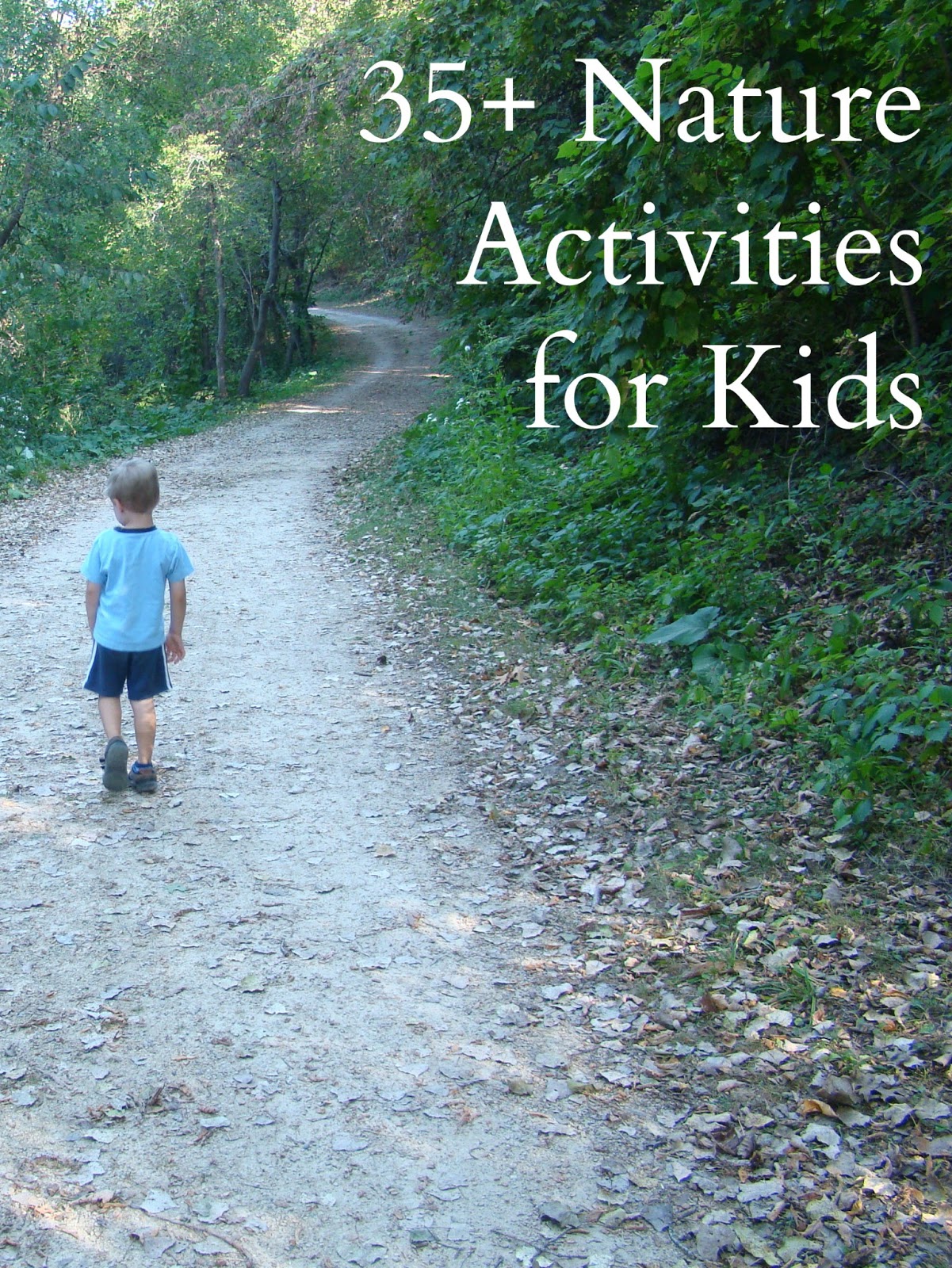 35+ Nature Activities: Kid's Co-op ~ Reading Confetti