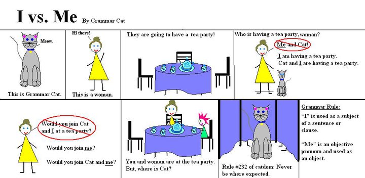 Inanities of an Idle Mind: Grammar Cat... the beginning