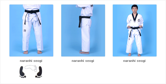 Kuda-kuda pada Taekwondo ~ Putra's Blog