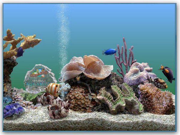 Marine aquarium screensaver seren screen - yourmens