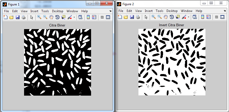 ErliaShare: MATLAB : Invert dan Flip Image