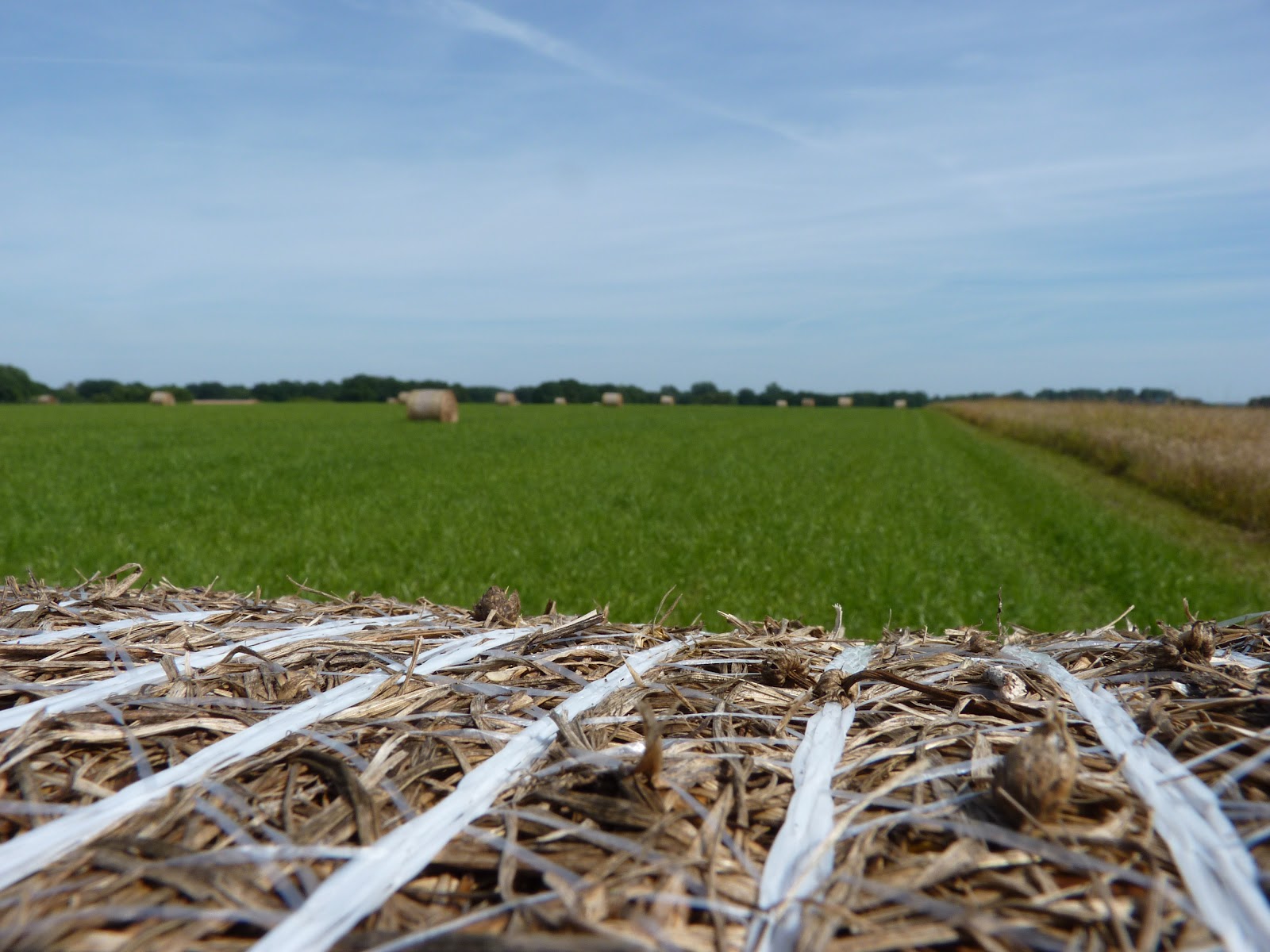 agra cultura: Heuballen - auf und über - gras und heu