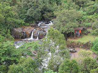 Expressing Myself: Thirumaleguppi trek - a western ghats treat