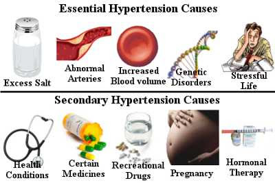 Prepare for Medical Exams : Essential Hypertension and Hypertensive ...