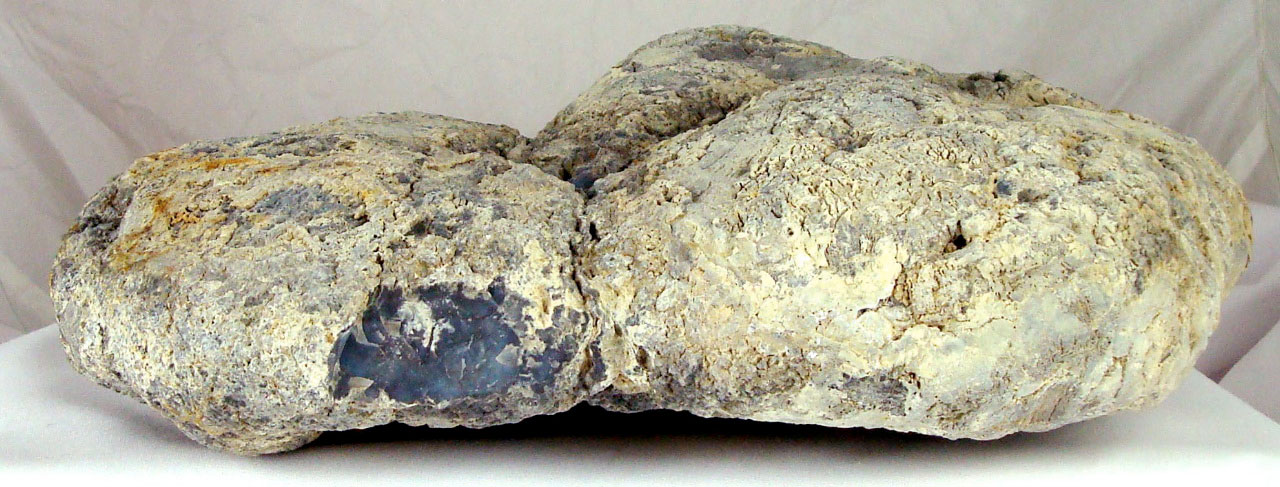L'angolo della Geologia: Coprolite