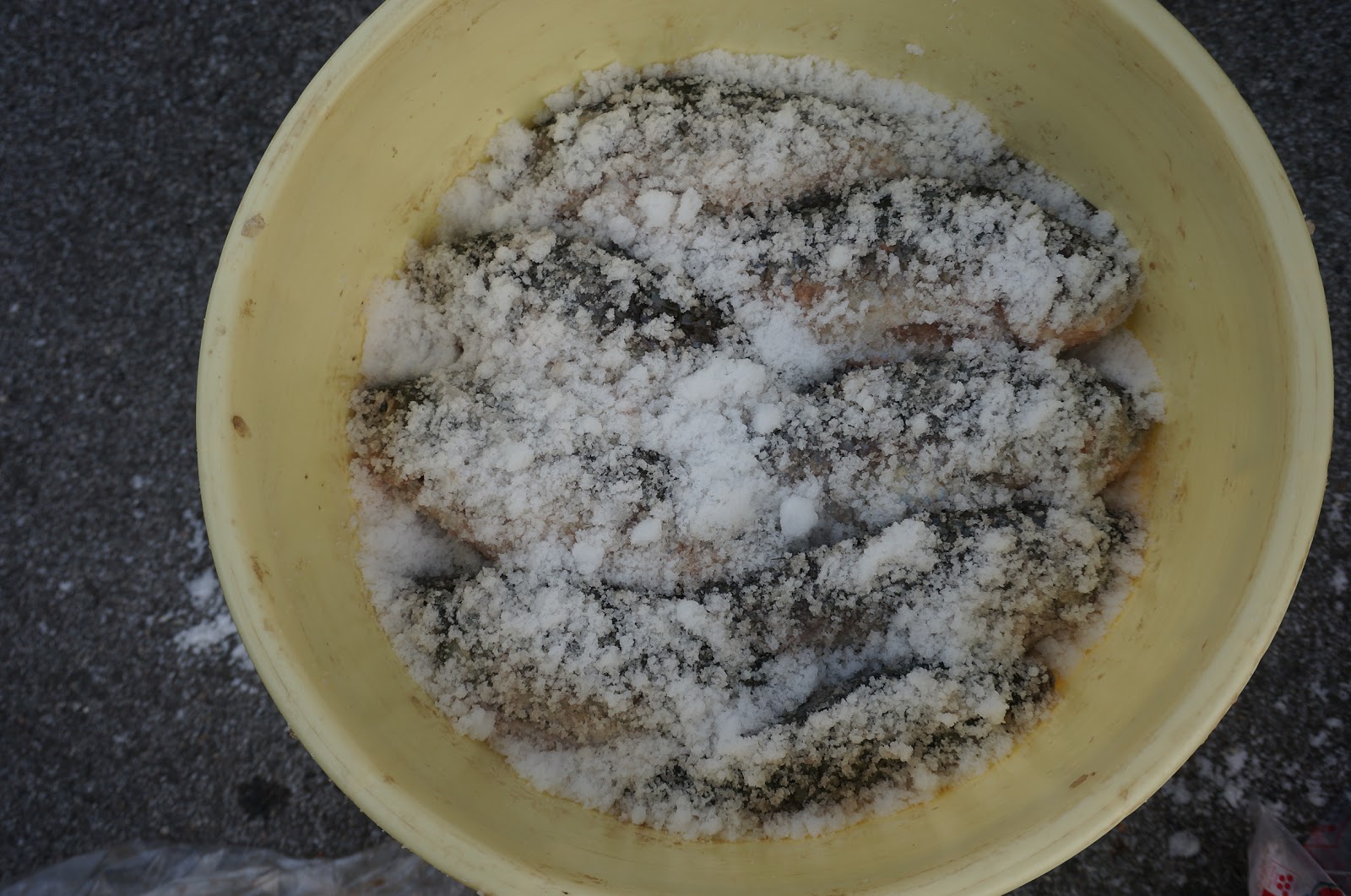 Culinary Retreat: the Japanese Art of Fermentation