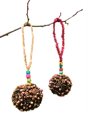 Adventures at Home: Pomanders, perfume and pong