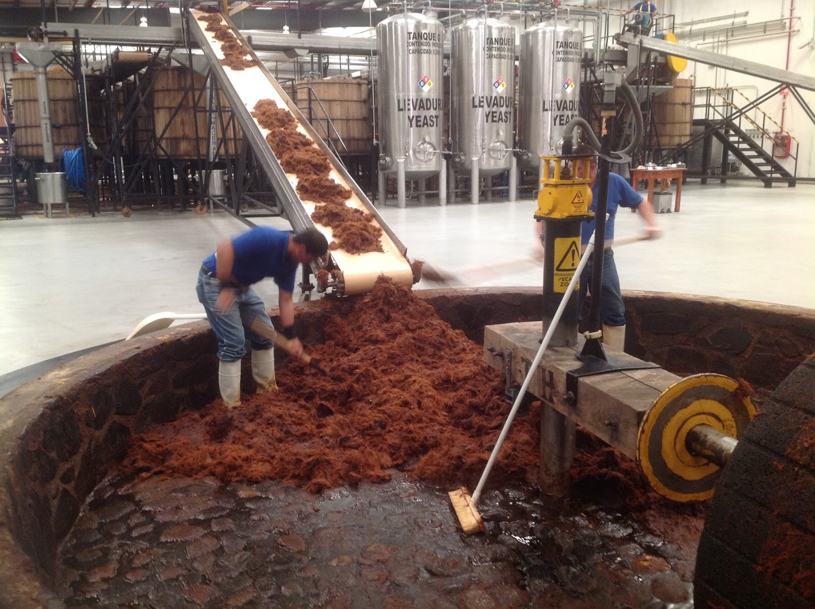 Tomas Tequila: May 2016