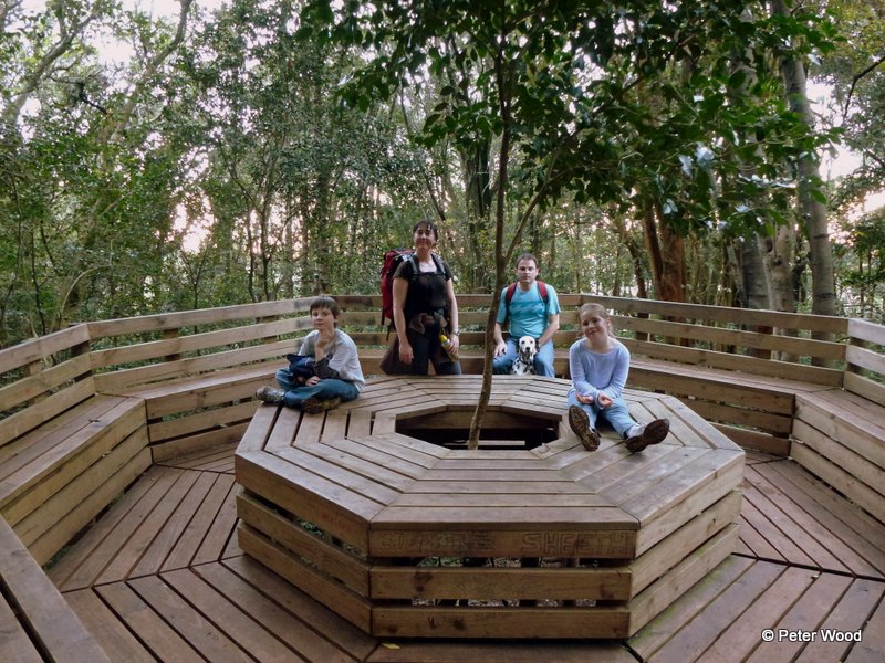 Hiking Cape Town: Hike Newlands Forest to Newlands ravine