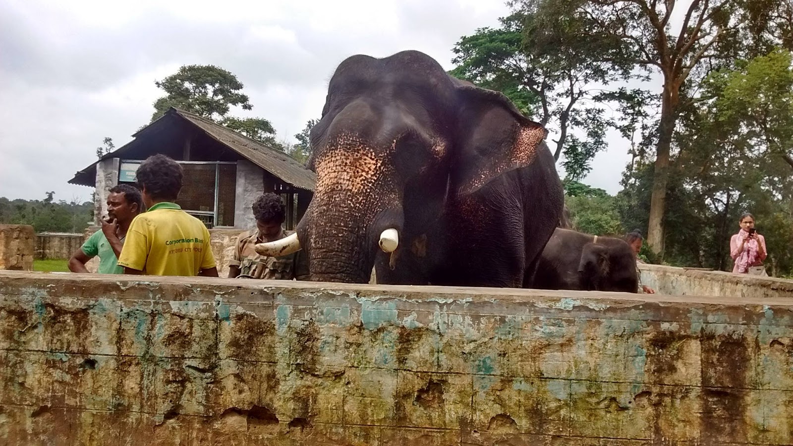 Dubare Elephant Camp: Nestled Along the Sacred Cauvery River in Coorg ...