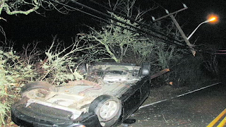 Harry S. Plinkett: Life History of Mr. Harry S. Plinkett