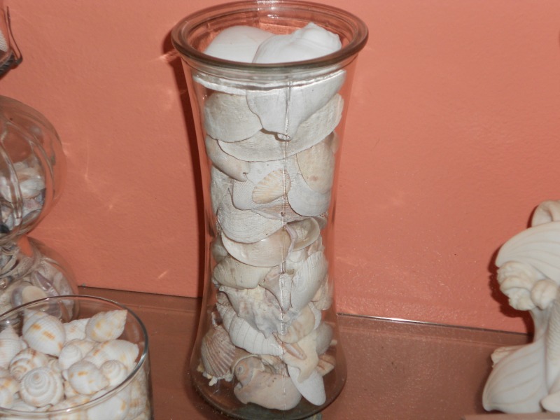 Del's Shells: More Ways to Display Shells