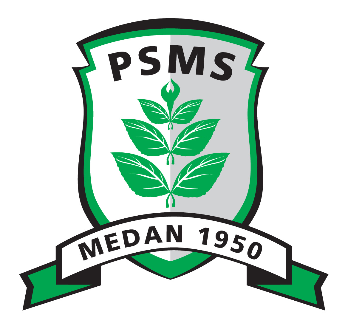 Ibnu Zacharyas Portfolio: PSMS Medan