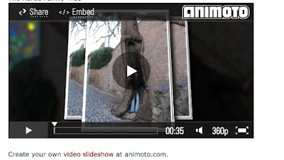 francesca frames...: WHO WANTS TO BE A MILLIONAIRE?...English summer school...