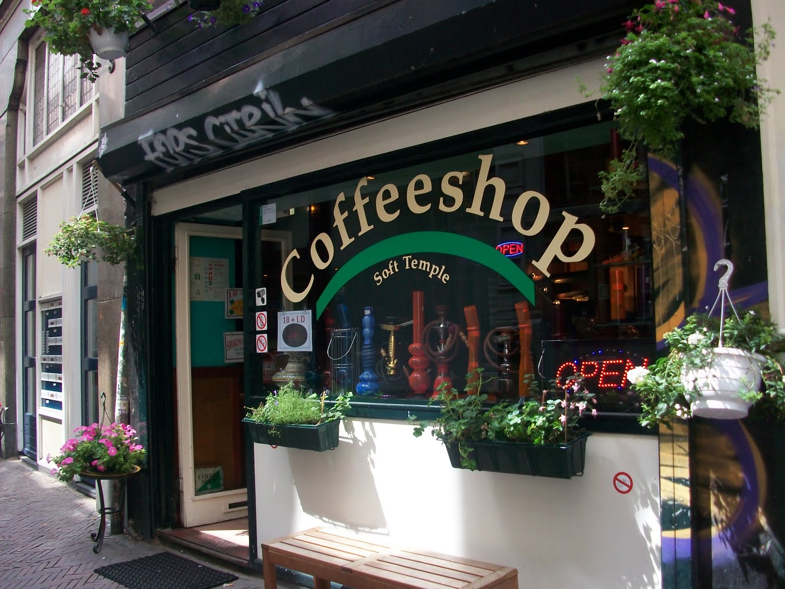 Where The Wind blows Us