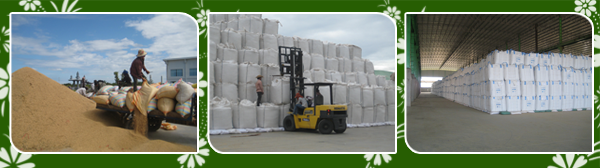 ~ Baitang (Kampuchea) Plc.