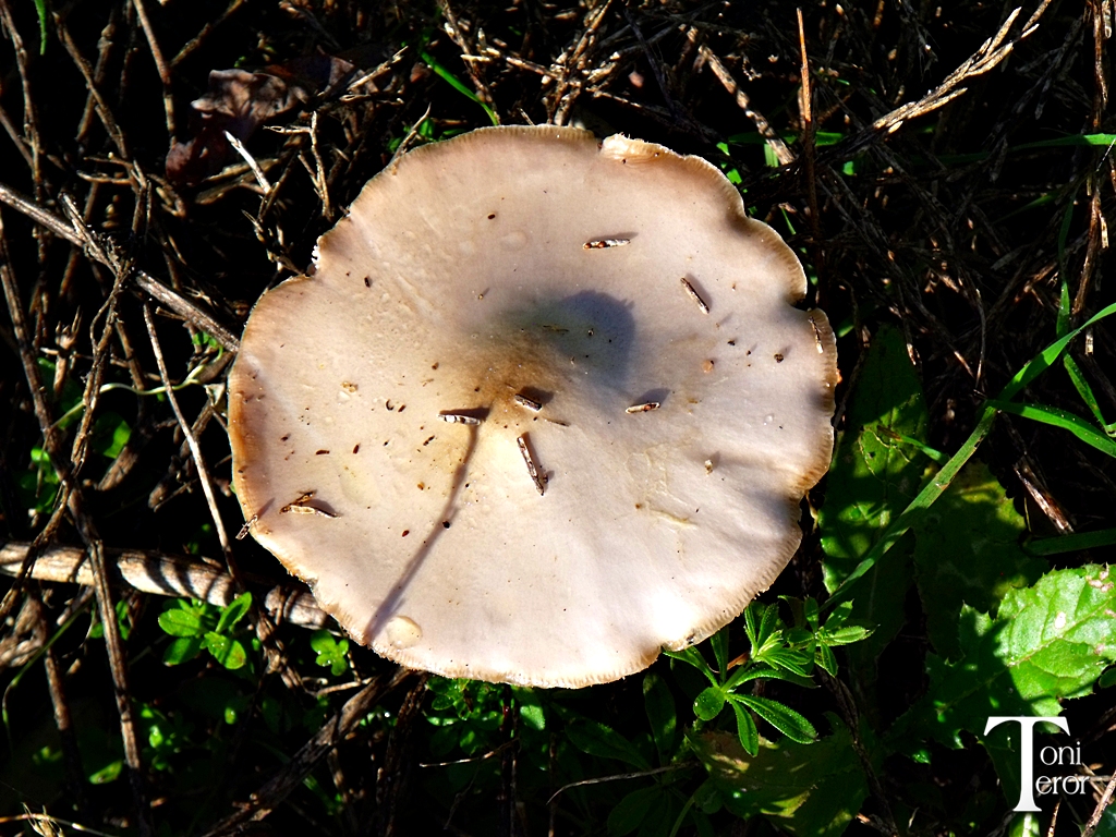 El reflejo de mi mirada: enero 2014