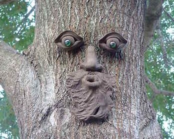 Jo's Favorite Things: Tree magic: Mushrooms and Tree Men