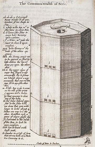 TrogTrogBee: Sir Christopher Wren's beehive