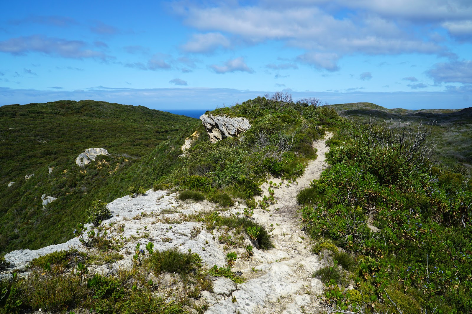 Torbay Head & West Cape Howe (West Cape Howe National Park) ~ The Long ...