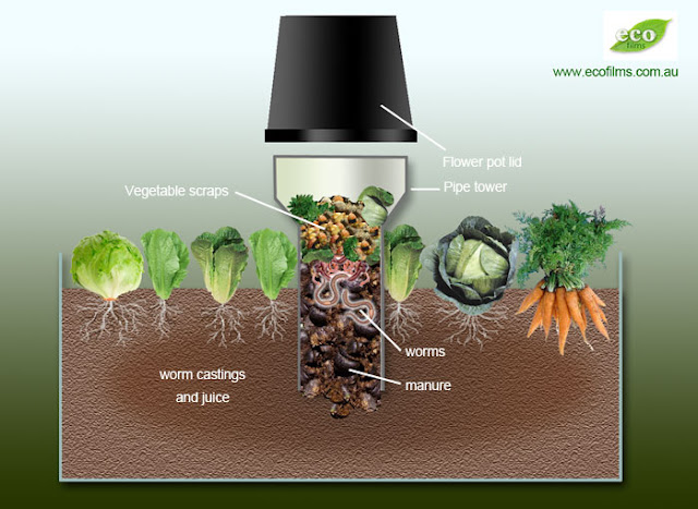 Agroregeneration: Humanure and Pet Feces