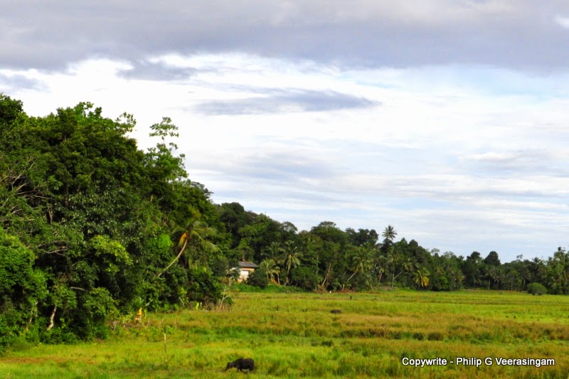 Images of Sri Lanka on blogspot.com: The Southern Highway, Kottawa to ...