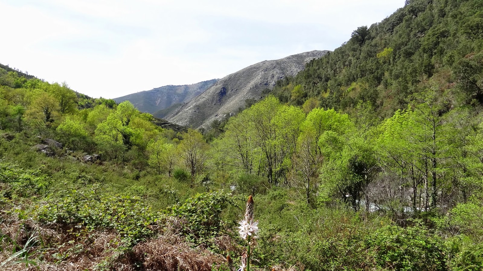 Por fragas e pragas...: À descoberta do rio Laboreiro