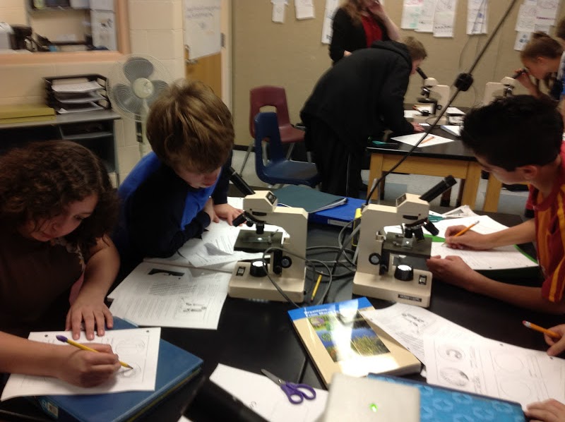 Cuthbert - 7th Grade Science Day to Day: October 2012