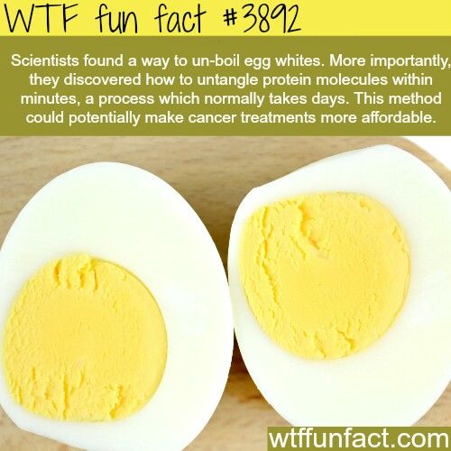 30 Amazing And Unbelievable Random Facts That Will Blow Your Mind ...