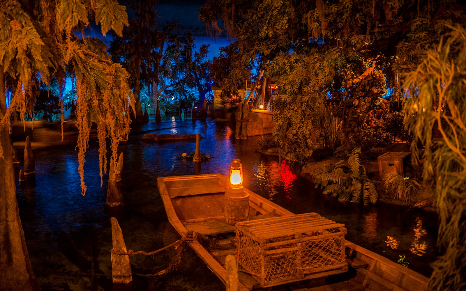 Louisiana Bayou Night