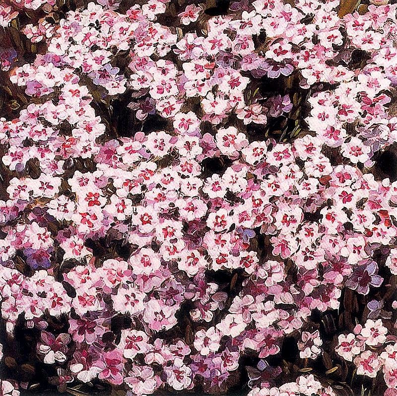 Art Now and Then: Lisa Milroy