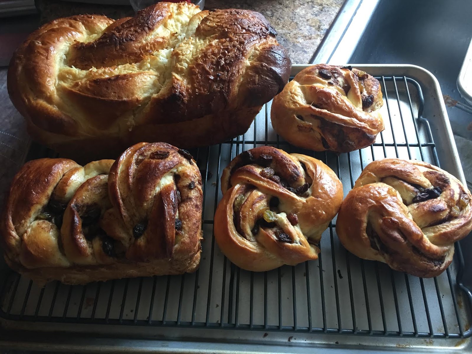 Fluffy Milk Cinnamon Raisin Rolls and Coconut Custard Bread Using ...