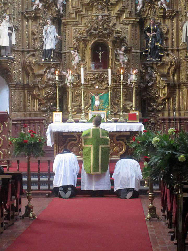 CATHOLICVS: Santa Misa tradicional en Méjico D.F.
