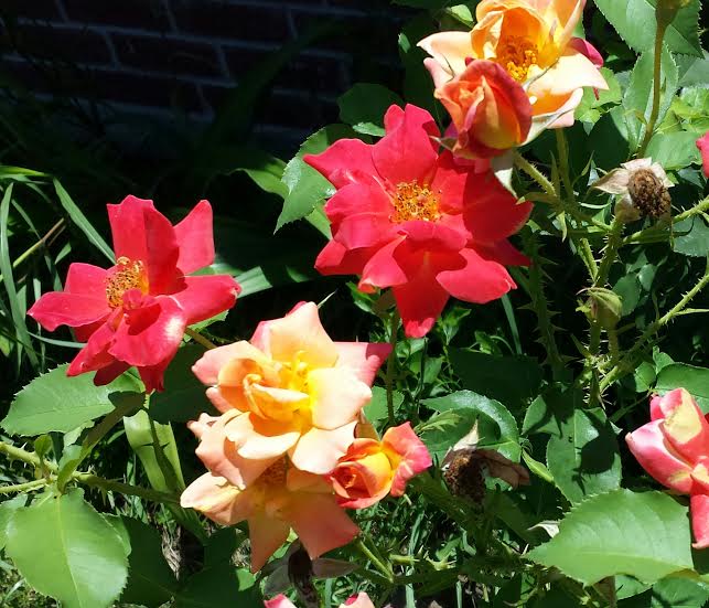 Barbed Wire & Boredom