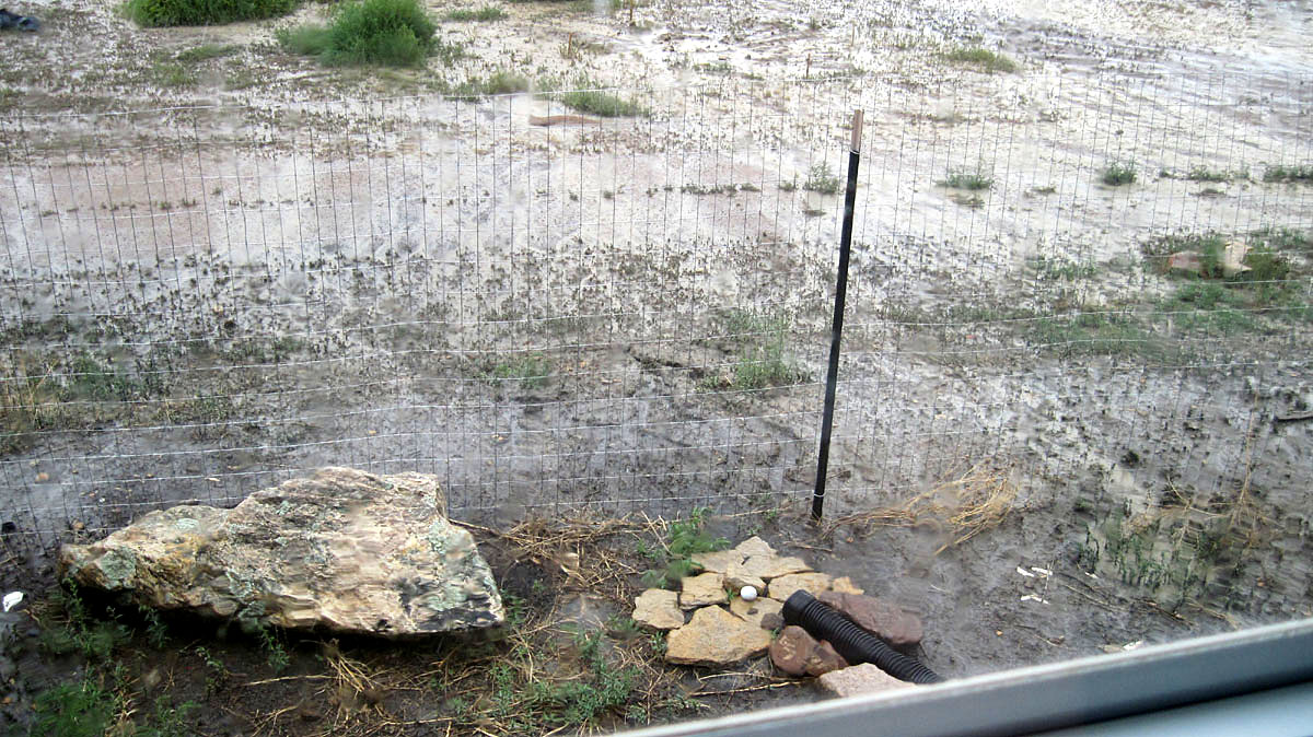 Polishing The Double Wide Turd: Rain, Rain, Go Away. No, Stay! No, Go ...