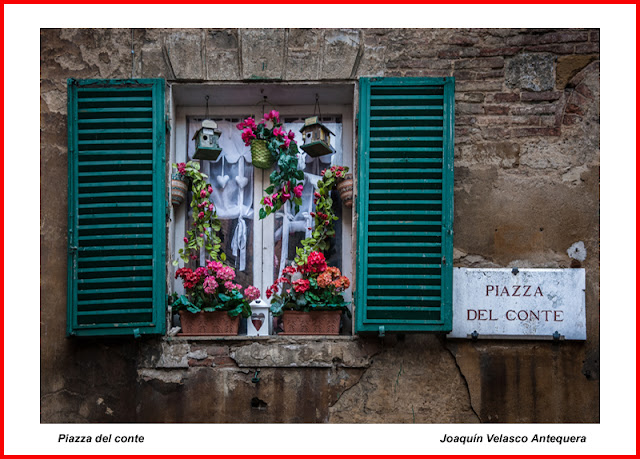 Fotos que olvidé romper: enero 2017