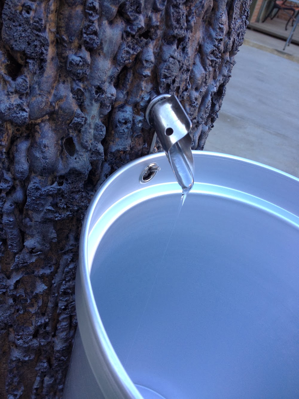 DAVE LOWE DESIGN the Blog: Tap-able Tree for Tanya