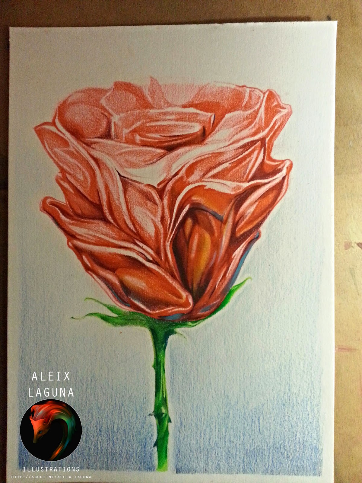 Aleix Laguna Illustrations Blog: Traditional Drawings