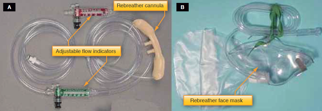 Aircraft Oxygen Systems and Components | Aircraft Systems