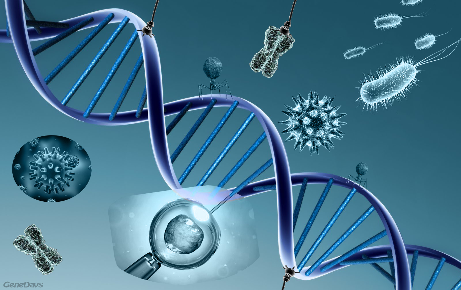 Do início de uma vida ao equilíbrio de todas!!!: Genética