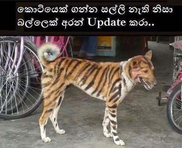 Sri lanka Jokes | FUNNY PICTURES & VIDEOS