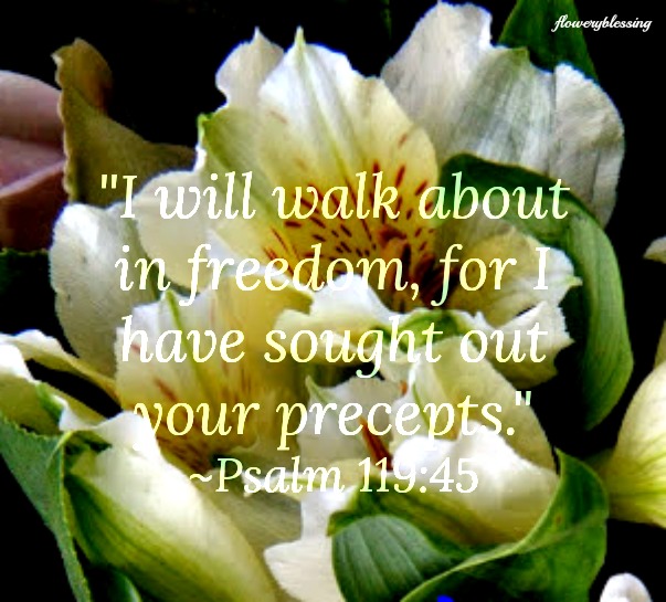 Flowery Blessing: "I will walk about in freedom, for I have sought out ...