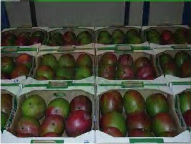 Empacado: FUNCION DE EMPACADO