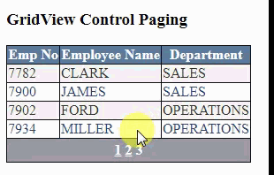 Asp.Net Gridview Paging | Asp.Net C# Examples