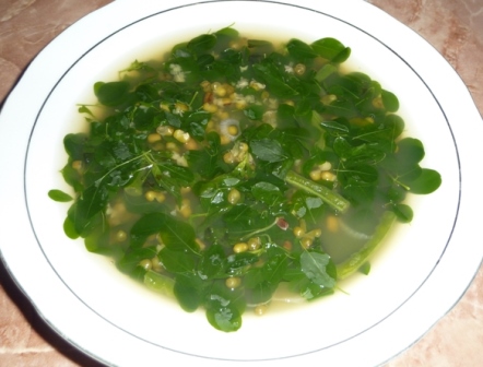 9 Manfaat Sayur Kelor Untuk Kesehatan Tubuh | Serba Serbi komplit